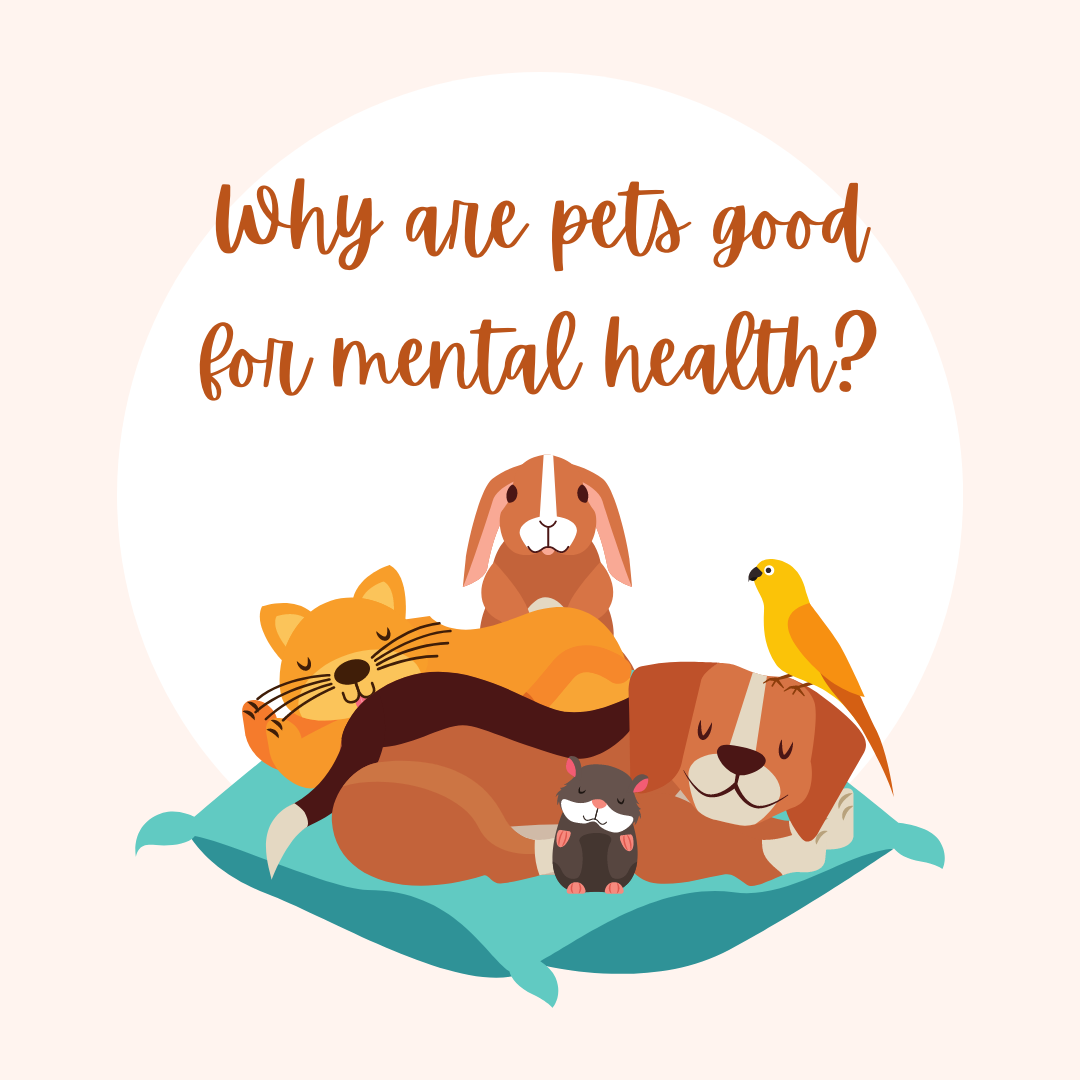 Why are pets good for our mental health? – Euro Youth Mental Health